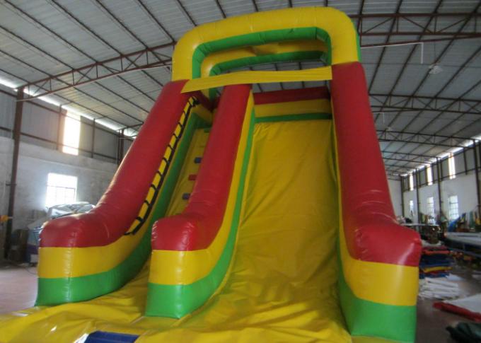 Customized Large Inflatable Water Slides , Blow Up Pool Slides For ...